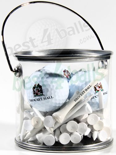 Logo Printed Golf Balls and Tees in a presentation bucket, minimum ...